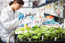 FSSAI setting up Food Safety Standards Review Panel to Ensure Food ...
