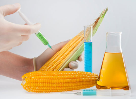 Expansion in the list of additives in Appendix A by FSSAI ...